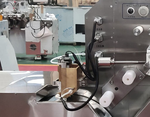 Middle 6 Inch Servo Motor Softgel Encapsulation Machine